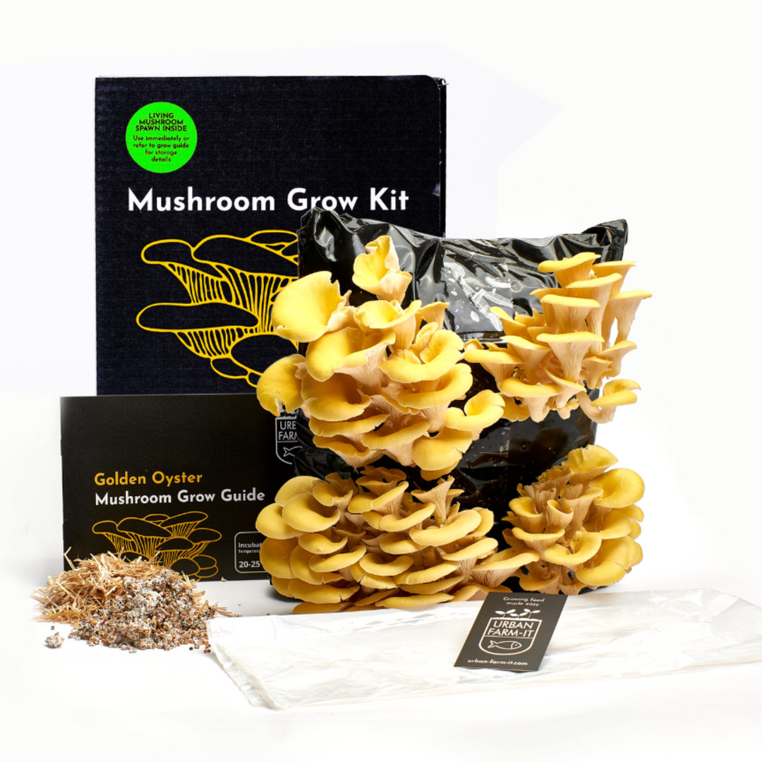 Mushroom Growing Kits | Shop Award Winning Kits with Urban Farm It ...