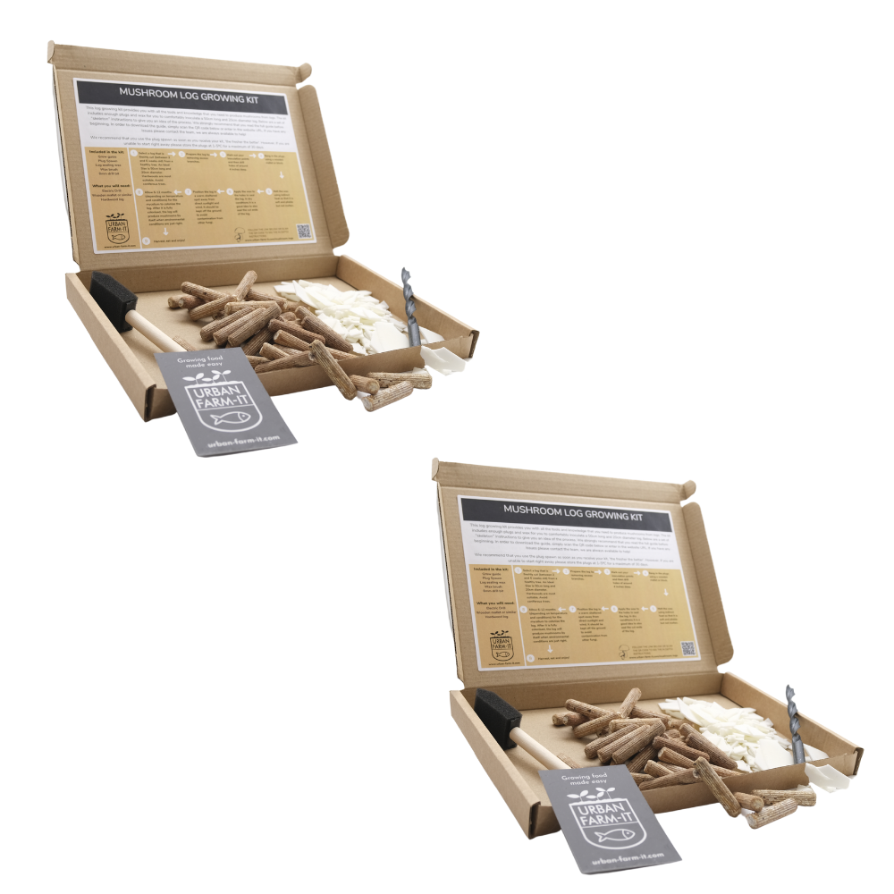 Buy Mushroom Kit Bundle - Choose Any 2 & Save From £36.00 | Urban Farm ...