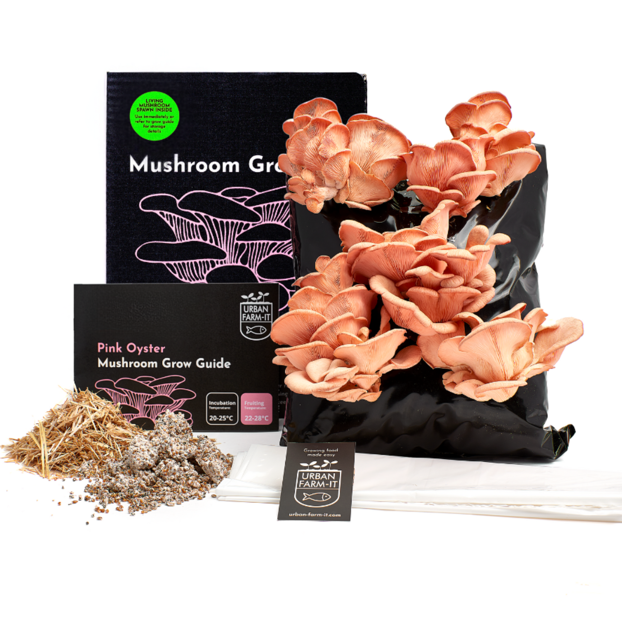 Oyster Mushroom Growing Kit Gift | Urban Farm-It – Urban Farm-Produce