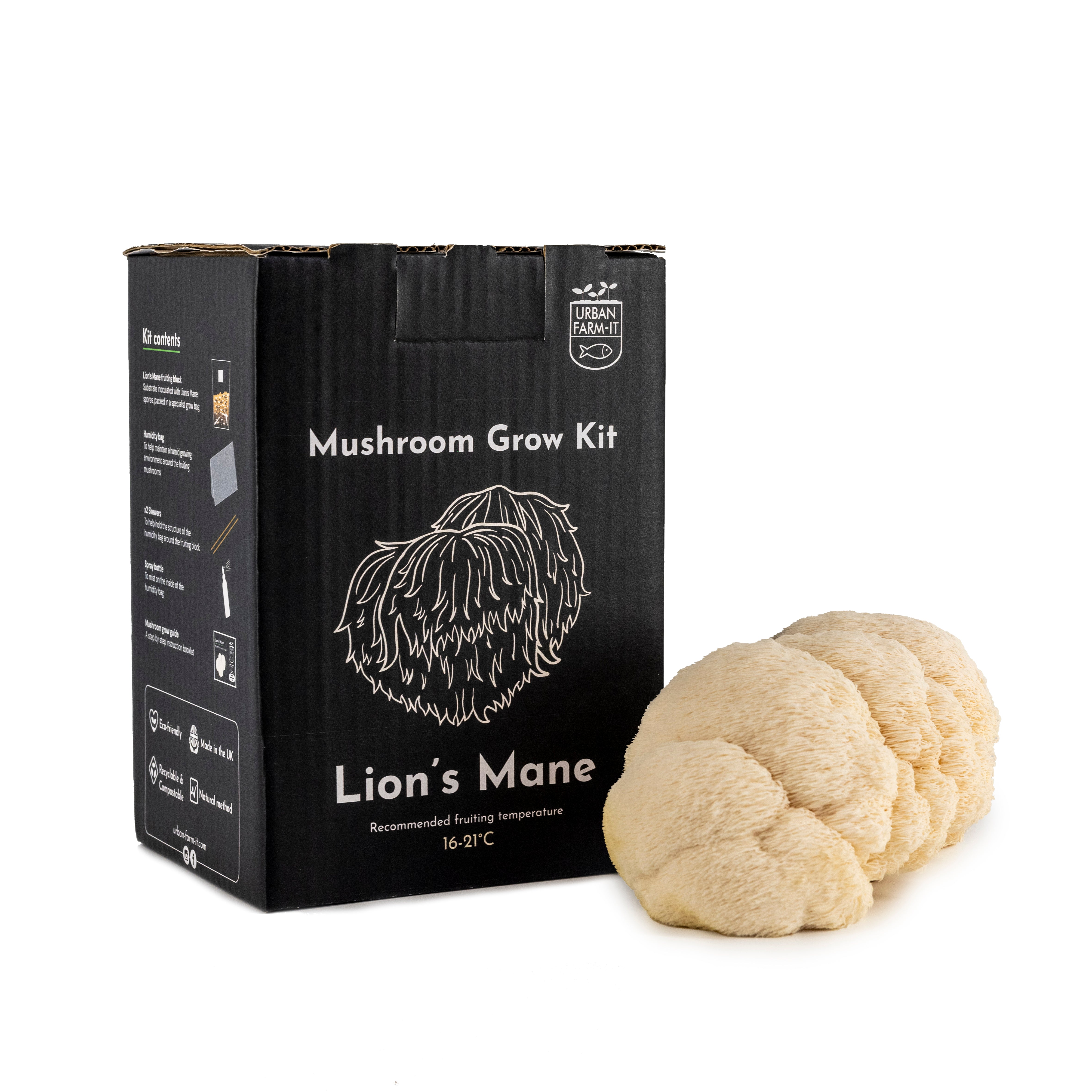 Beginners Mushroom Growing Kit | Award Winning | Urban Farm-It – Urban ...